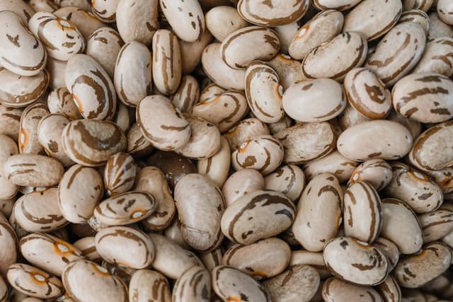 Health Time - Are Beans Keto-Friendly? A Physician's Guide to Legumes ...